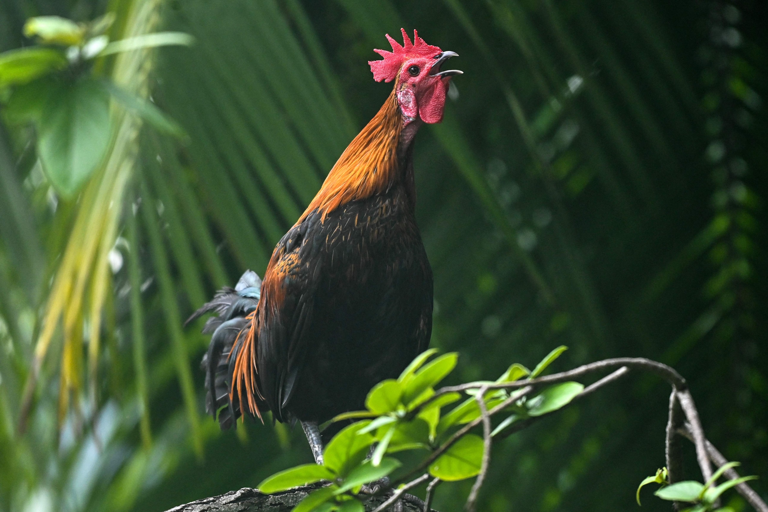 ‘Buren wéten soms niet eens dat ze overlast veroorzaken’: wat als je ...