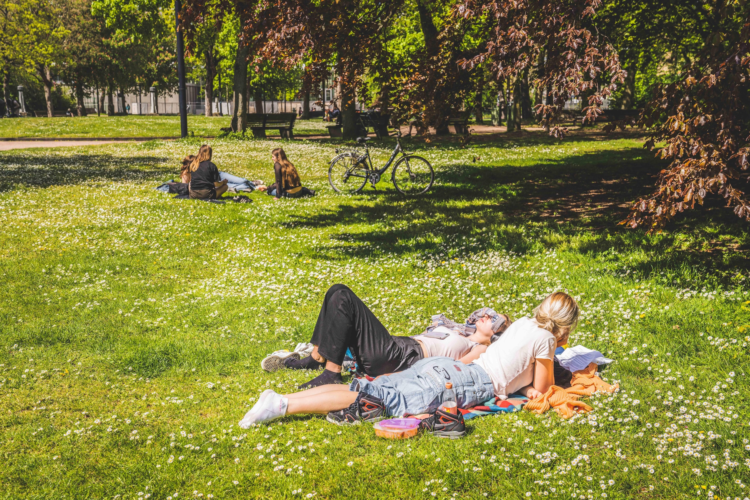 Zonnig pinksterweekend op komst: drie mooie lentedagen met temperaturen ...