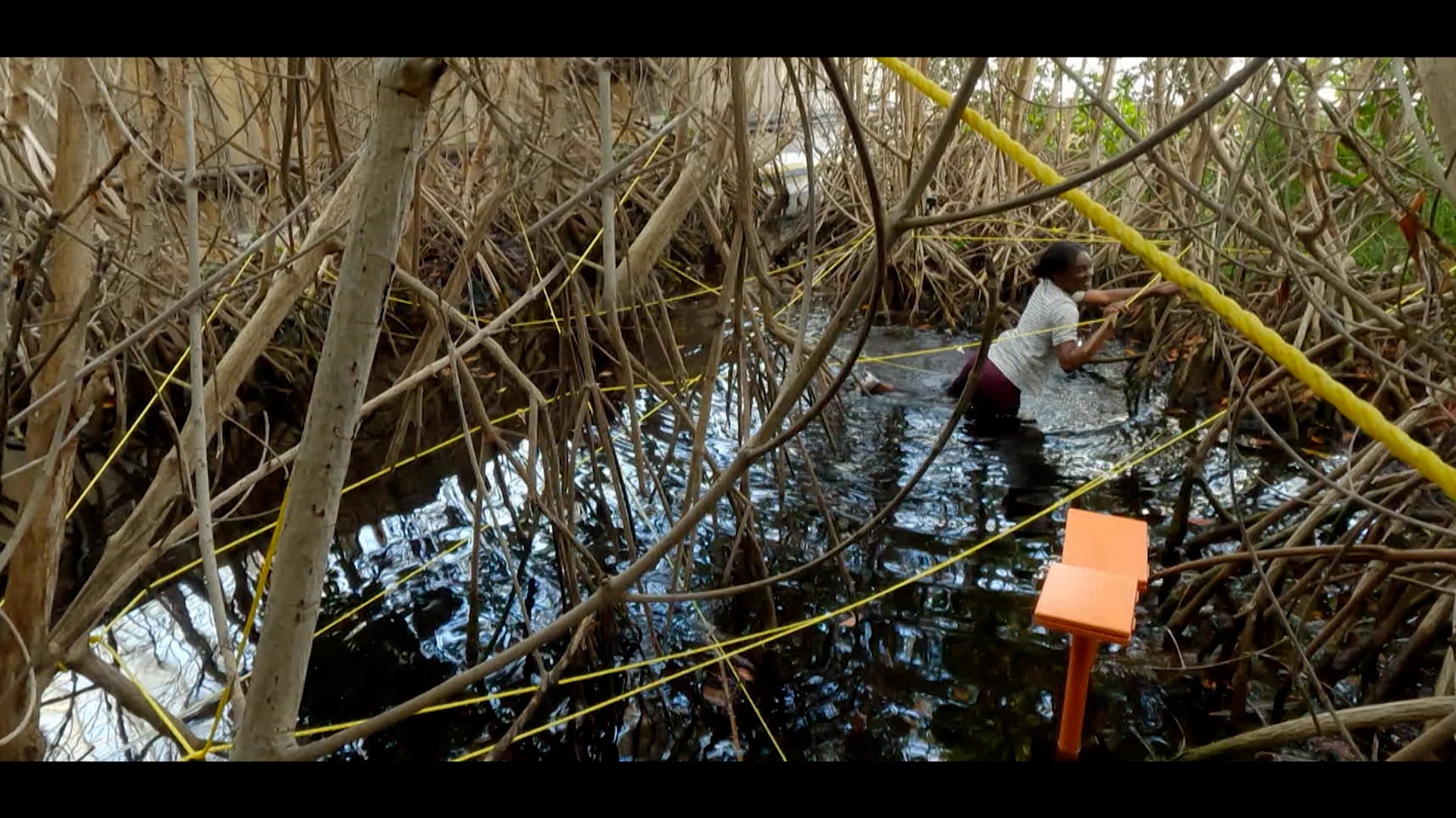 ‘Dan liet ik gewoon die twee de boel verpesten’: de mol klapt uit de ...