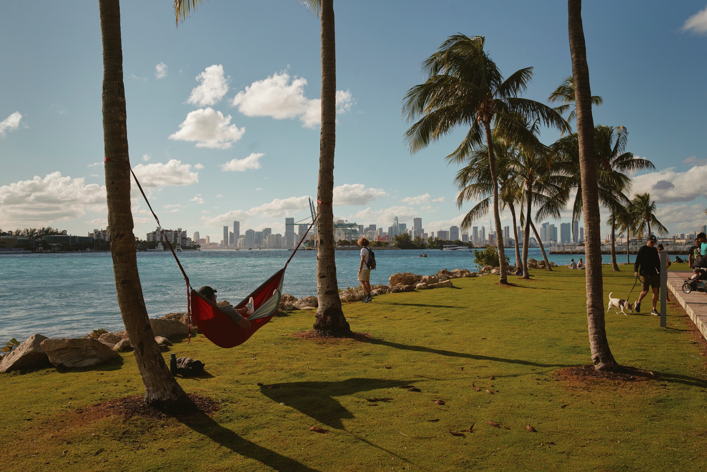 Miami is veel méér dan billen en bling | De Morgen