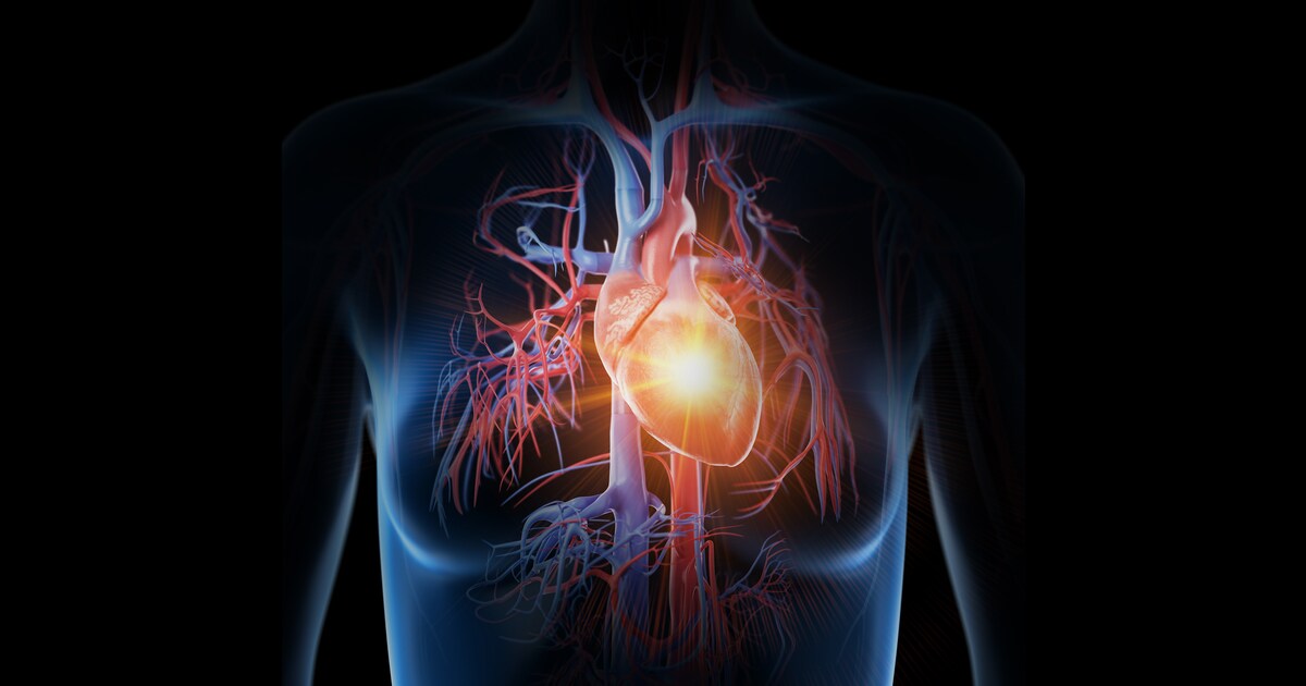 Als je iets aan je hart hebt, kun je maar beter een man zijn | De Morgen