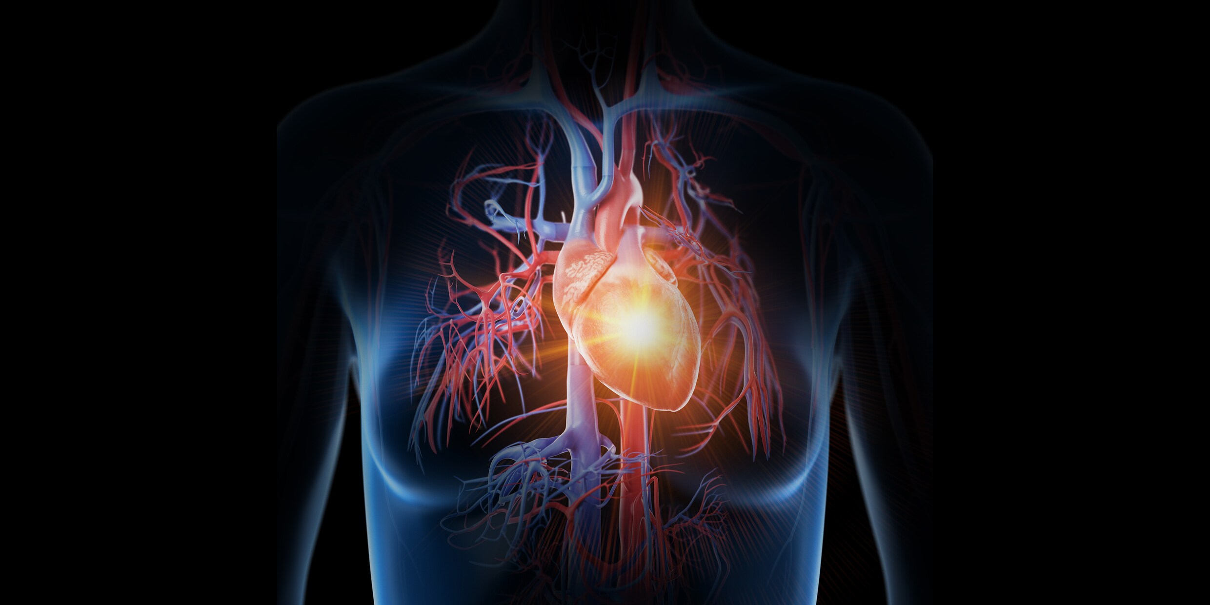 Als je iets aan je hart hebt, kun je maar beter een man zijn | De Morgen