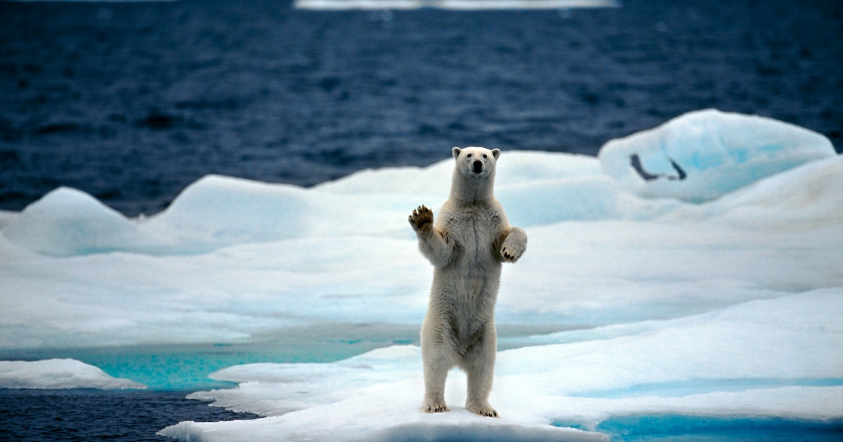 IJsvrije Noordpool tijdens zomers mogelijk al onvermijdelijk, zelfs als ...