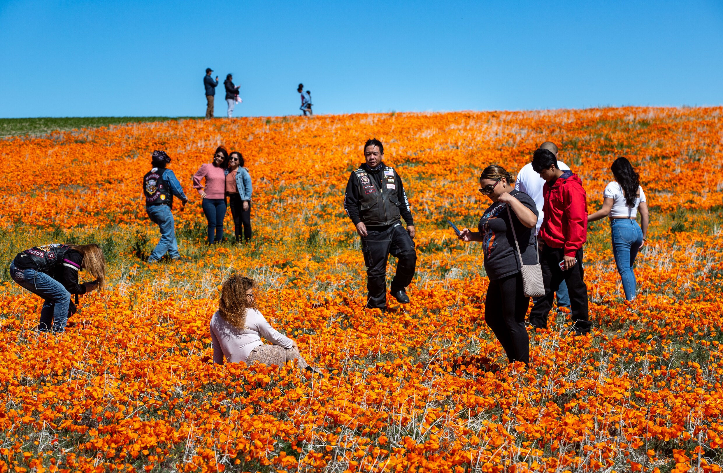 De Californische ‘superbloom’ die zelfs vanuit de ruimte te zien is ...