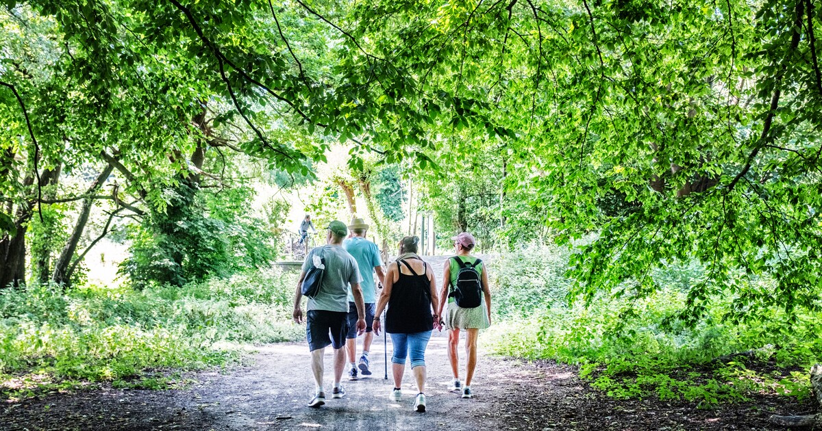 Europa staat voor cruciale stemming over natuurherstelwet: ‘Moet gedaan ...