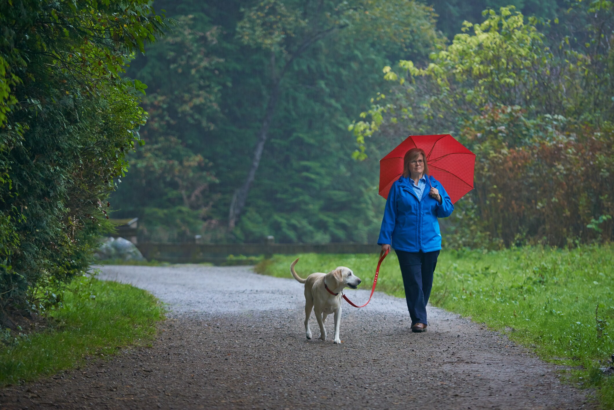 Winderig weer met soms stevige buien houdt aan, ook donderslag niet ...