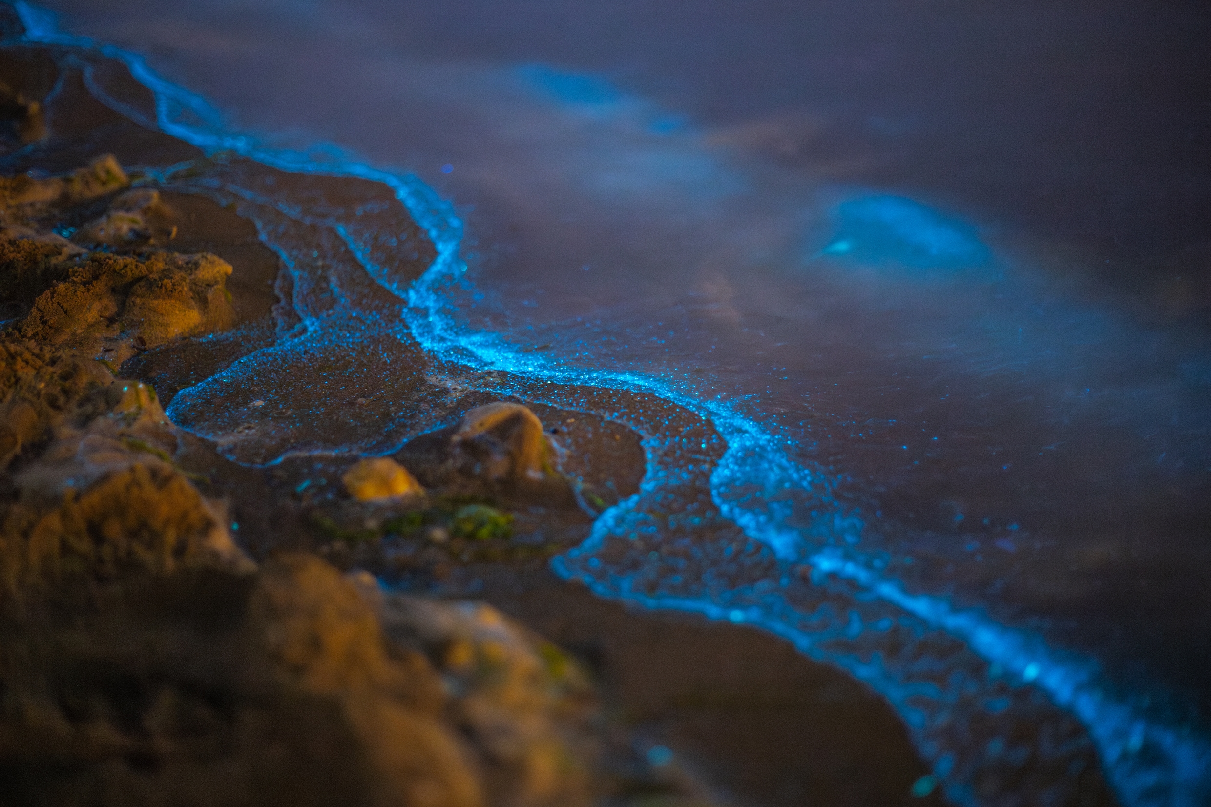 Klimaatverandering zorgt voor hallucinant schouwspel, zeevonk laat ...