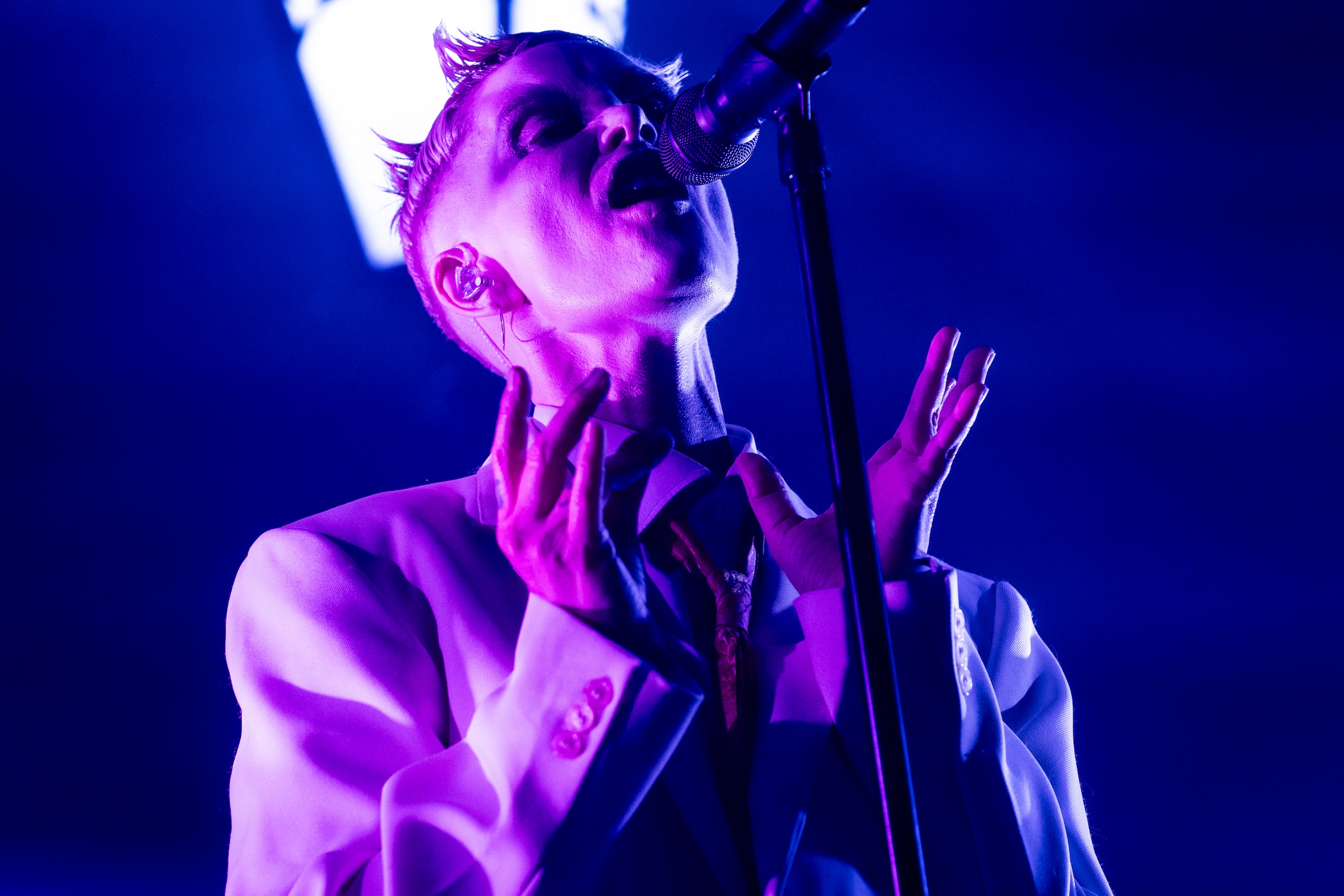 Tamino, Editors en Red Hot Chili Peppers: dit was het beste van de ...