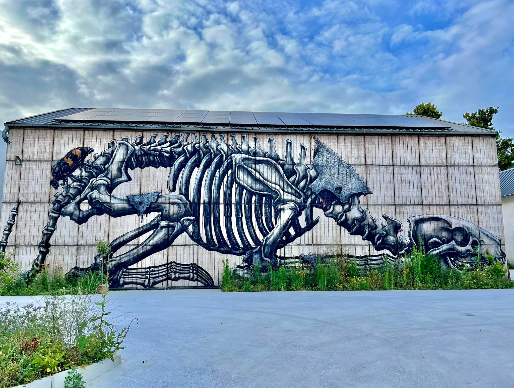 In het atelier van de mysterieuze street artist ROA: ‘Mensen geraken ...