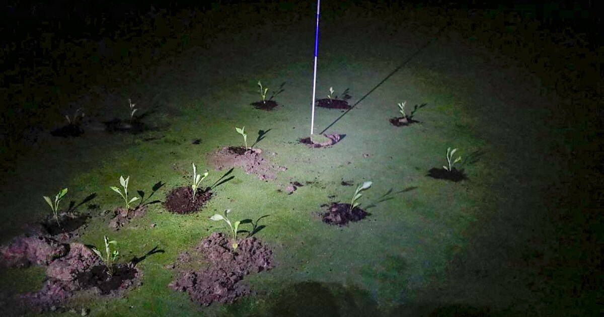 Spaanse golfbanen gesaboteerd: ‘Verbruiken evenveel water als ...