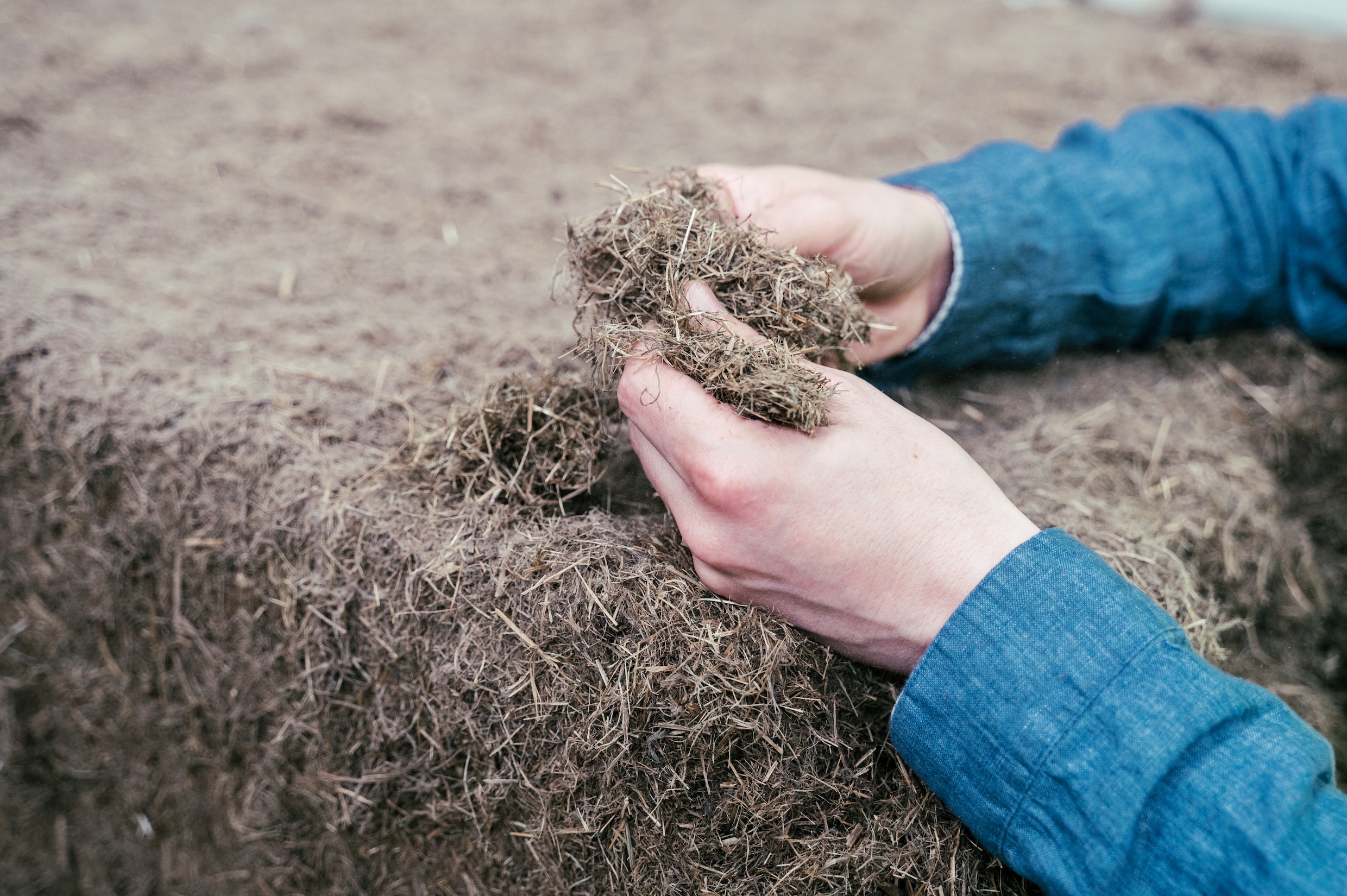 Uw huis isoleren met gras? Met deze Belgische graspanelen beperkt u de ...