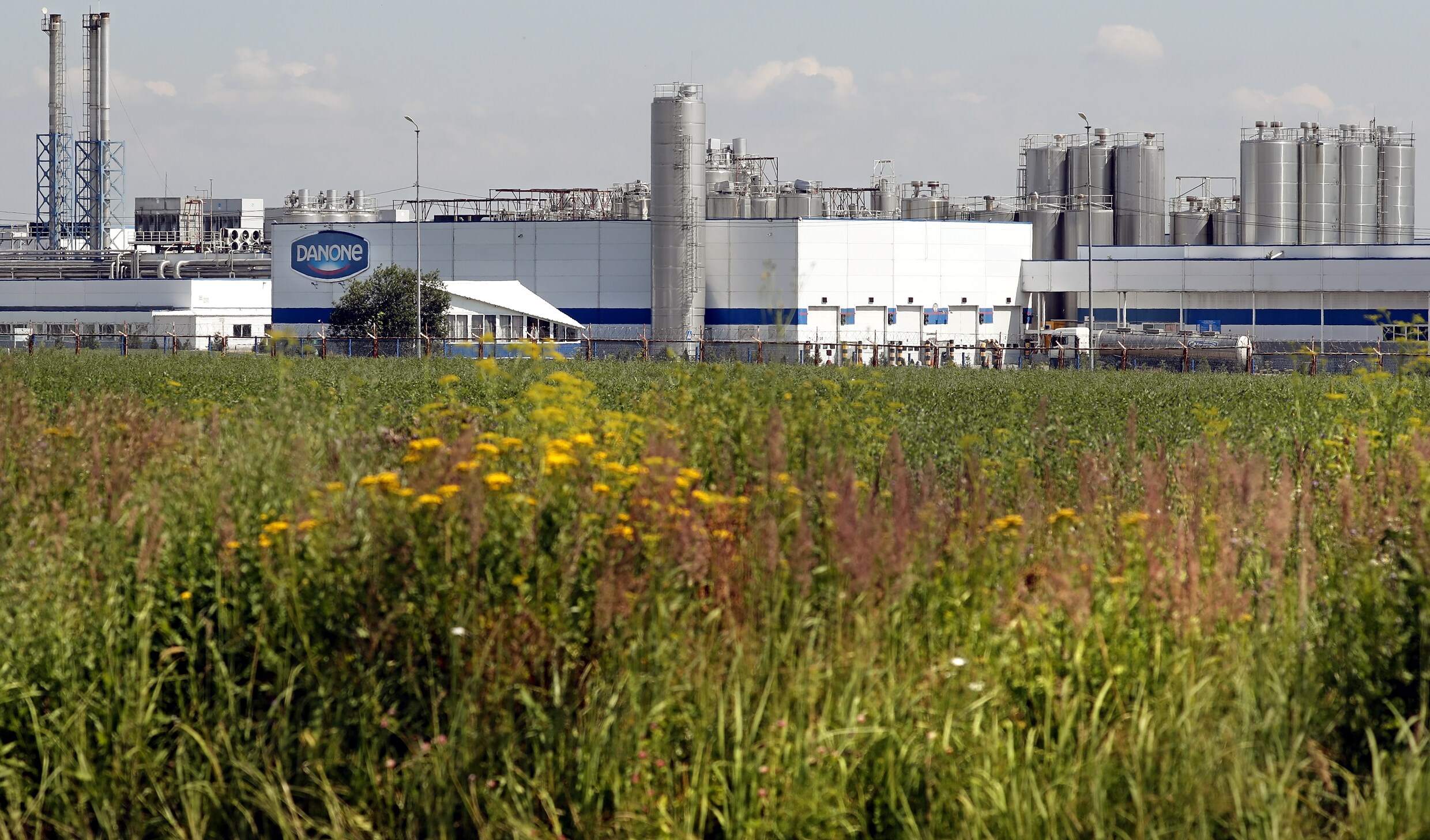 Poetin beloont vrienden met topfuncties bij genationaliseerd Danone en ...
