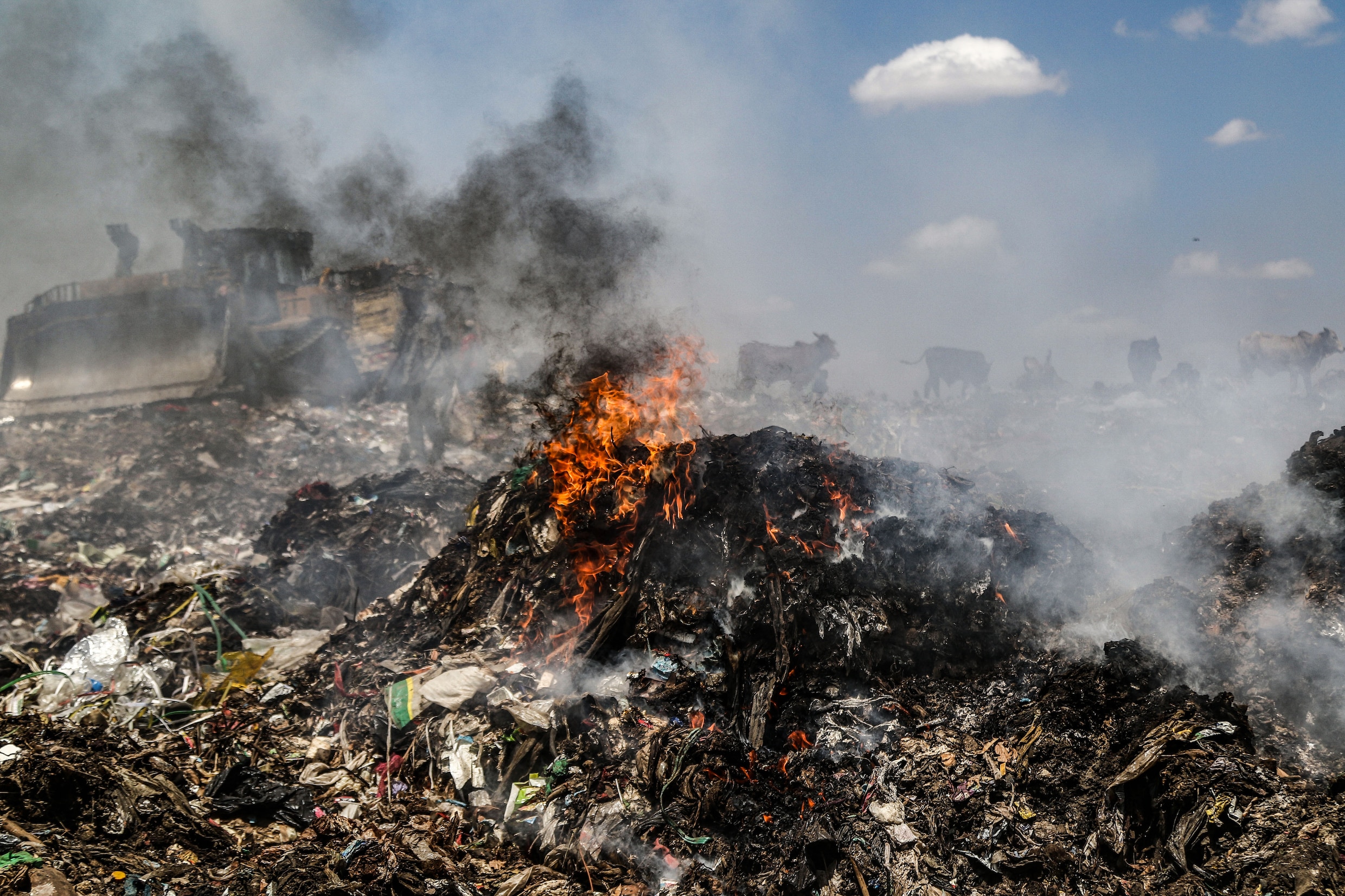 We leven in een wereldwijde natuurlijke habitat, niet in een afgesloten ...