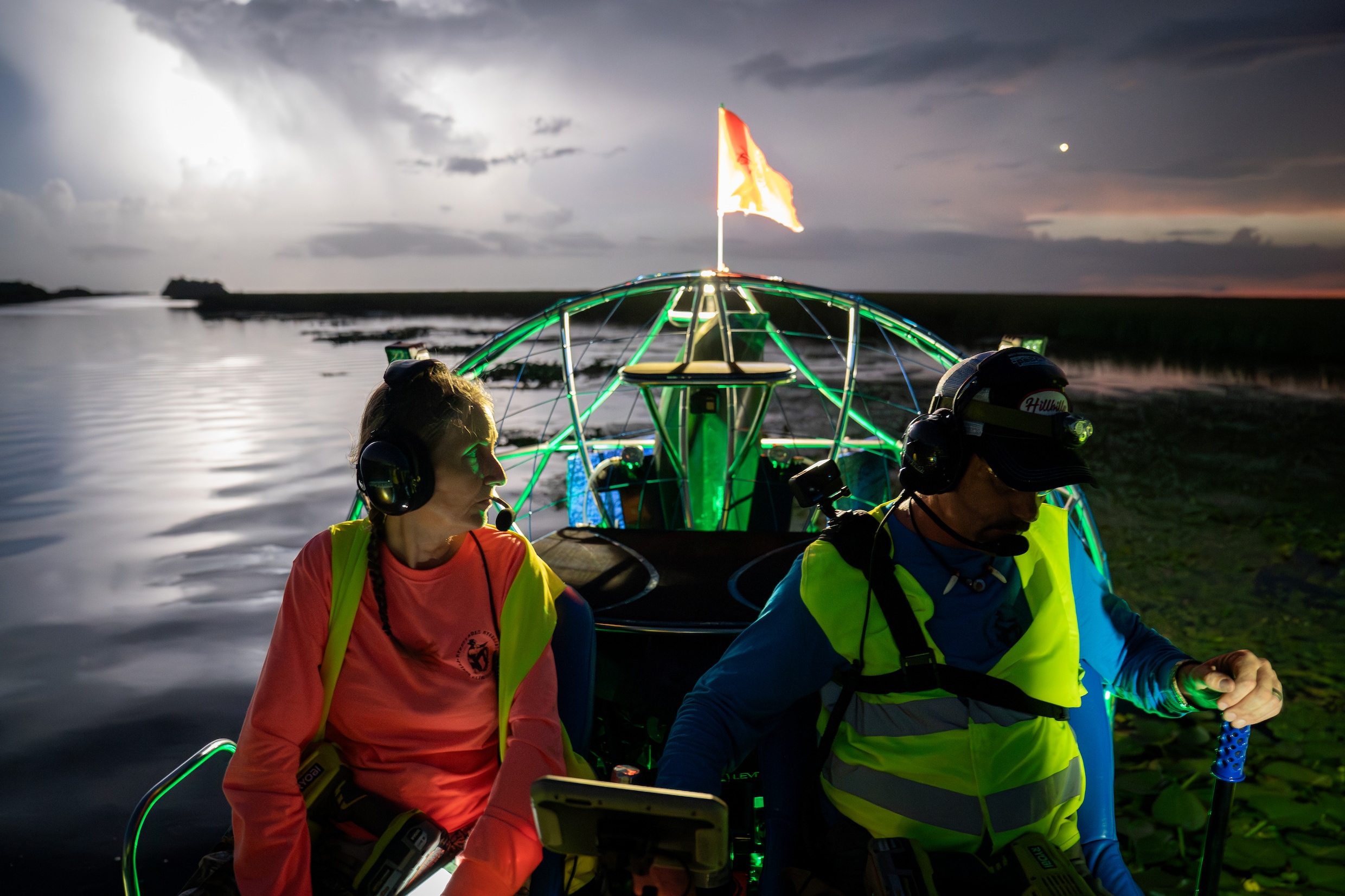 Op nachtelijke pythonjacht in Florida: ‘Ik heb al 792 dode wurgslangen ...