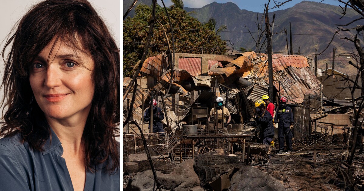 Extremen worden de nieuwe realiteit | De Morgen