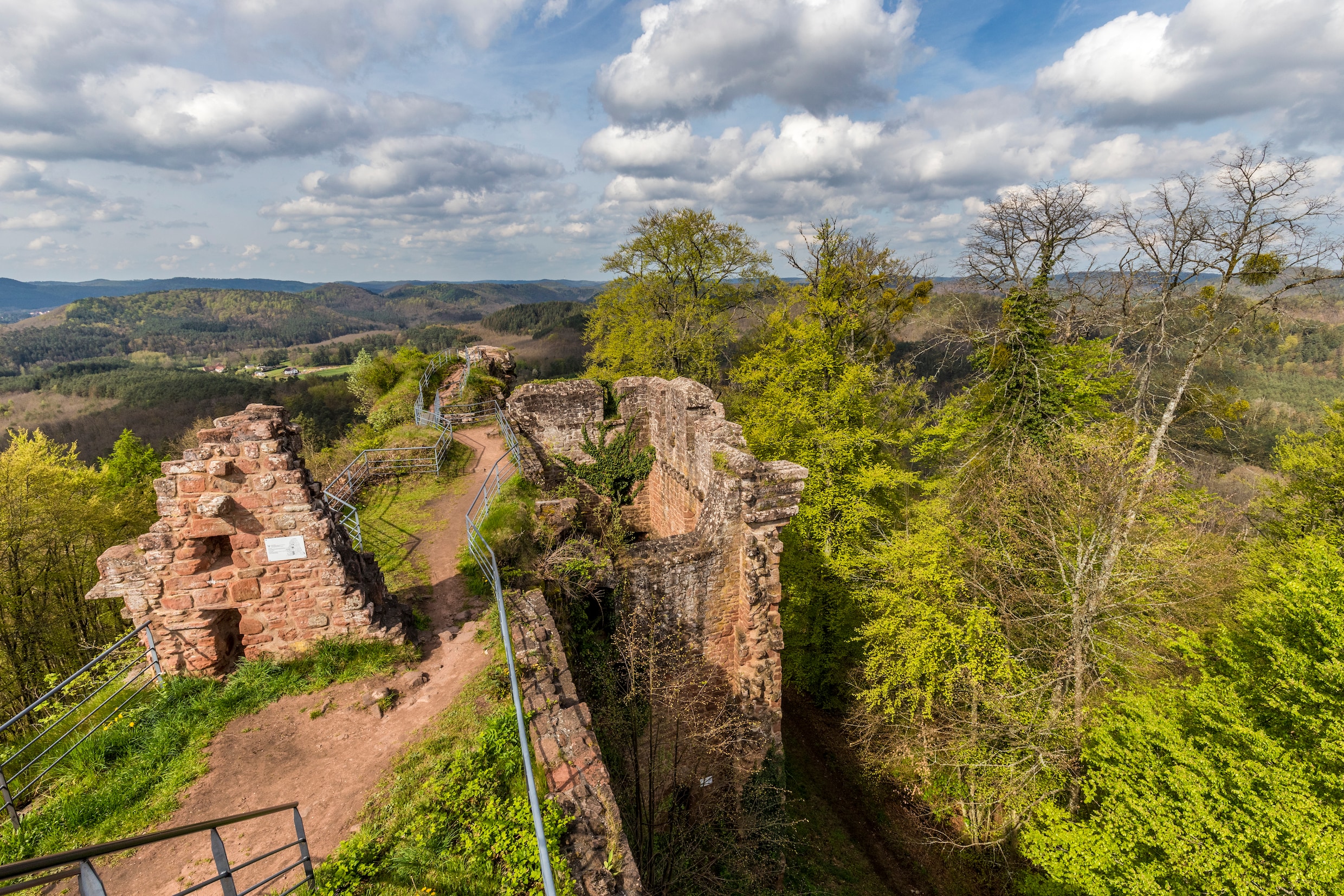 Rode rotsen, witte wijn: van de Vogezen naar de Elzas | De Morgen