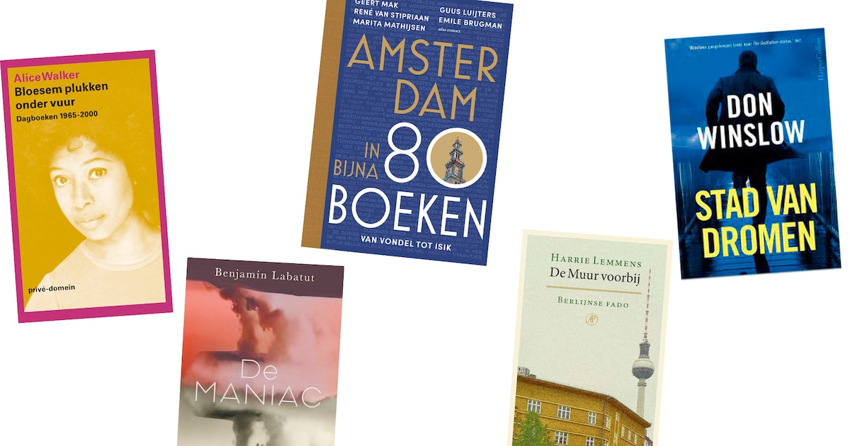 Vijf boeken om u ook na de zomer aan het lezen te houden | De Morgen