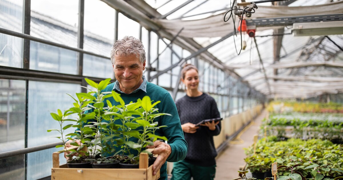 Meer dan helft van zelfstandigen stopt met werken voor 65ste | De Morgen