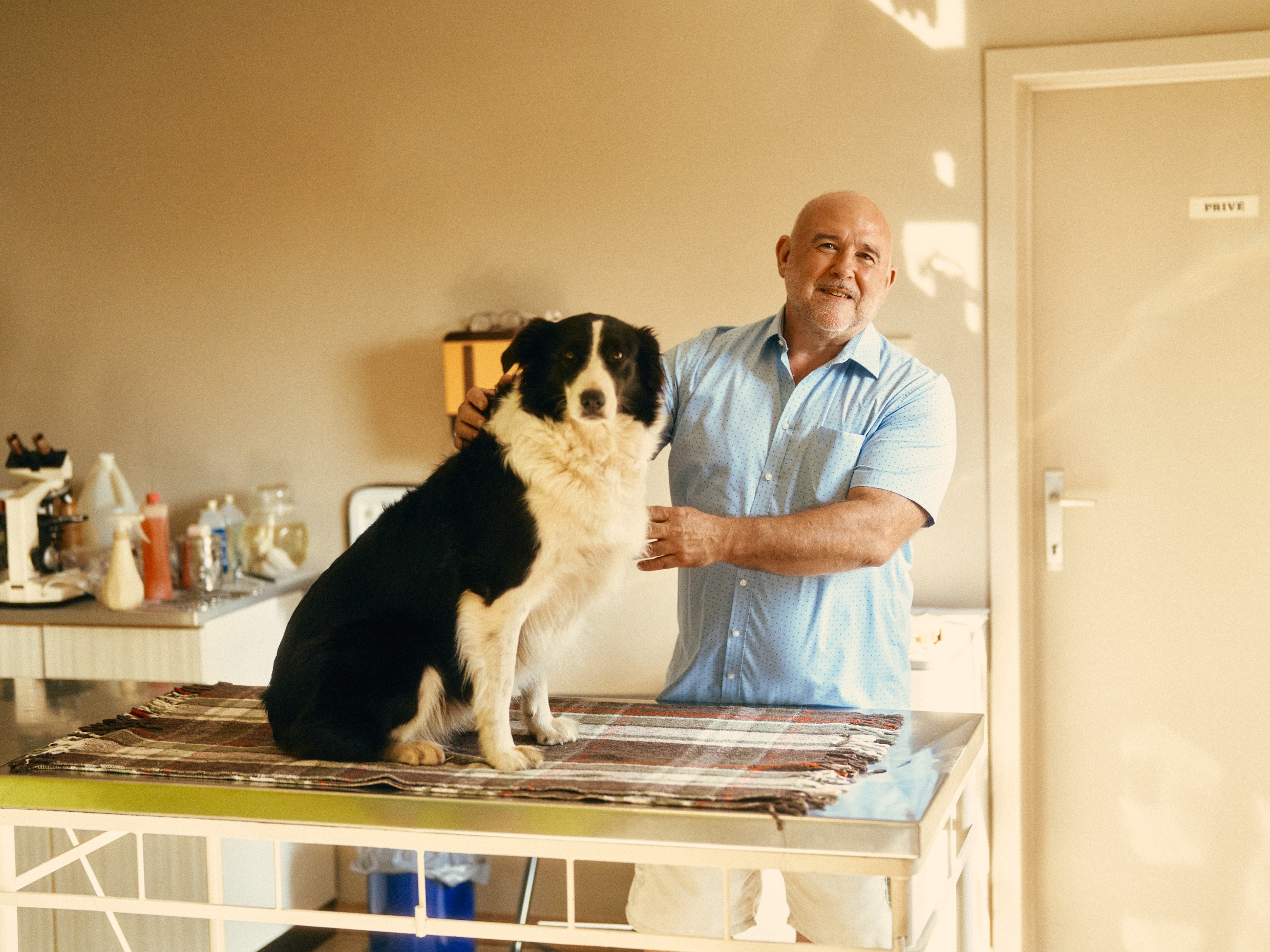 Dierenartsen stappen vaker uit het leven dan gemiddeld: ‘Schandalig dat ...