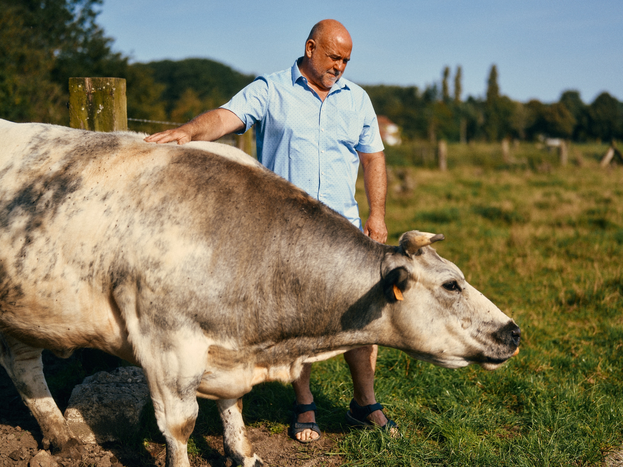 Dierenartsen stappen vaker uit het leven dan gemiddeld: ‘Schandalig dat ...