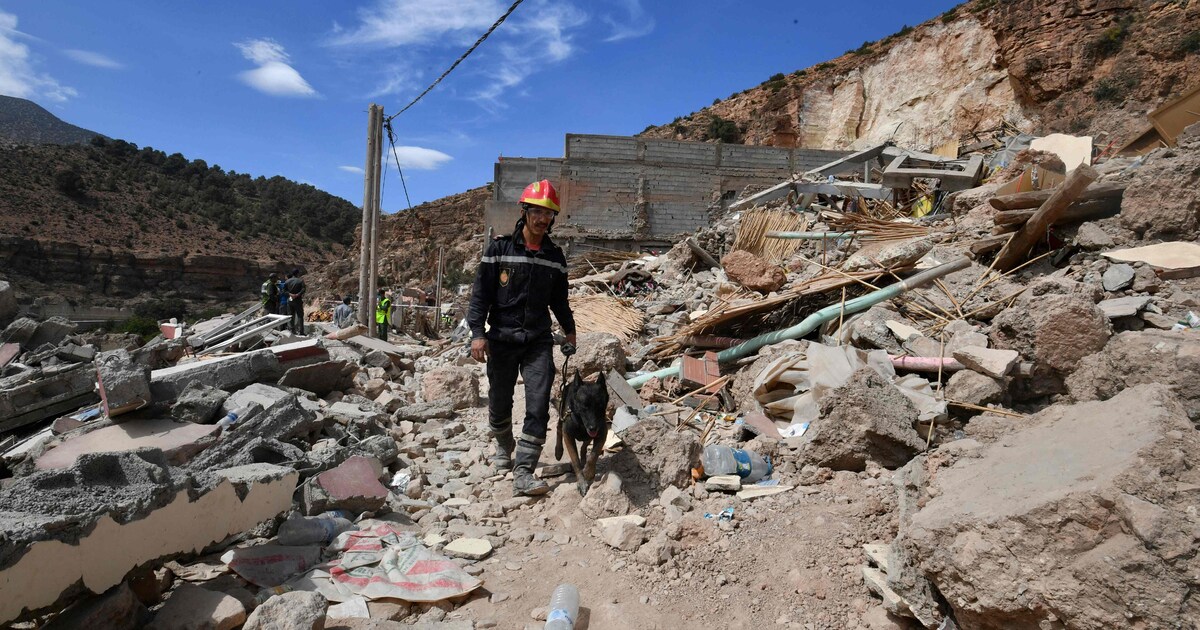 Rode Kruis-Vlaanderen haalt 500.000 euro op voor humanitaire hulp in Marokko | De Morgen