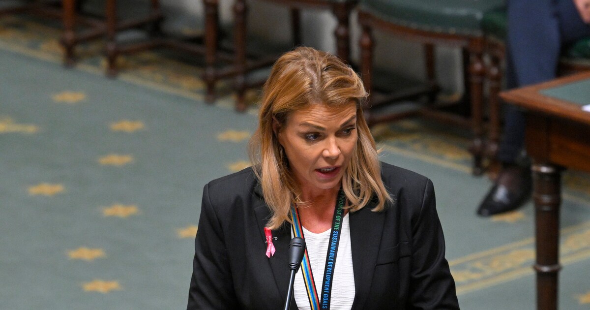 Ook Goedele Liekens komt volgend jaar niet meer op voor Open Vld | De ...