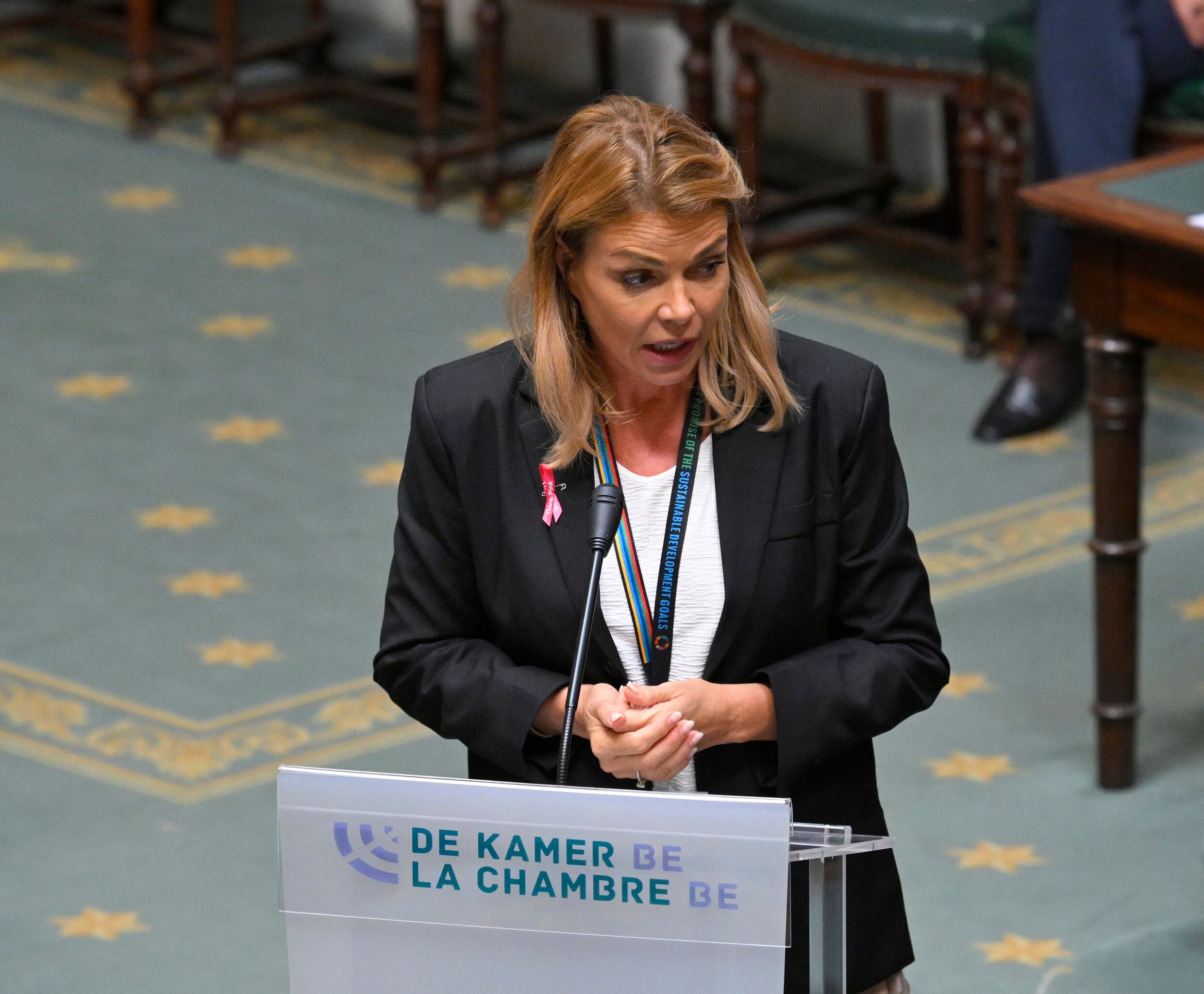 Ook Goedele Liekens komt volgend jaar niet meer op voor Open Vld | De ...