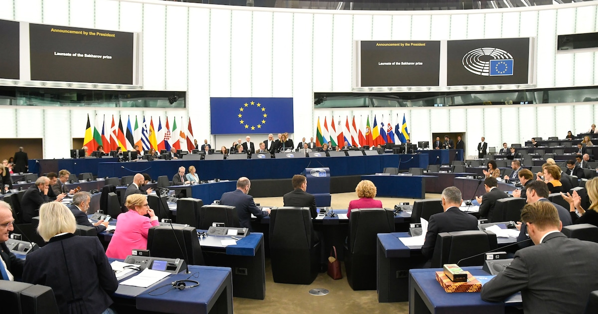 Het Europees Parlement als politiek sterfhuis? Niet noodzakelijk | De ...