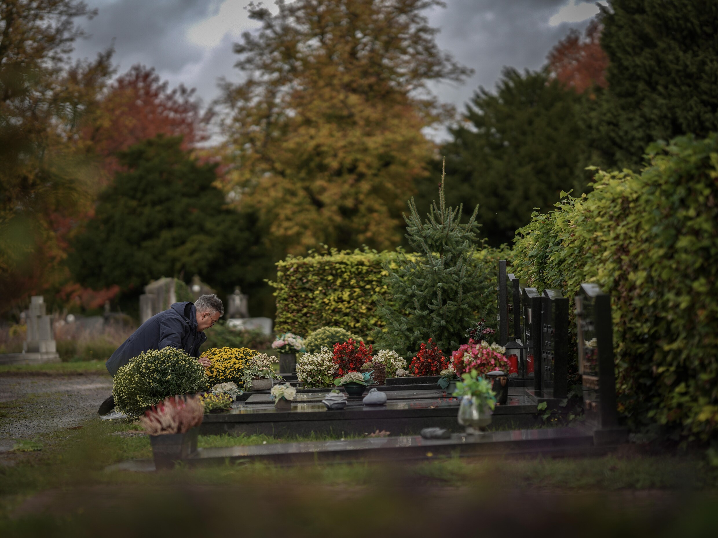 Groen, rustgevend en verwelkomend: de stadsbegraafplaats van Leuven toont hoe het kan | De Morgen