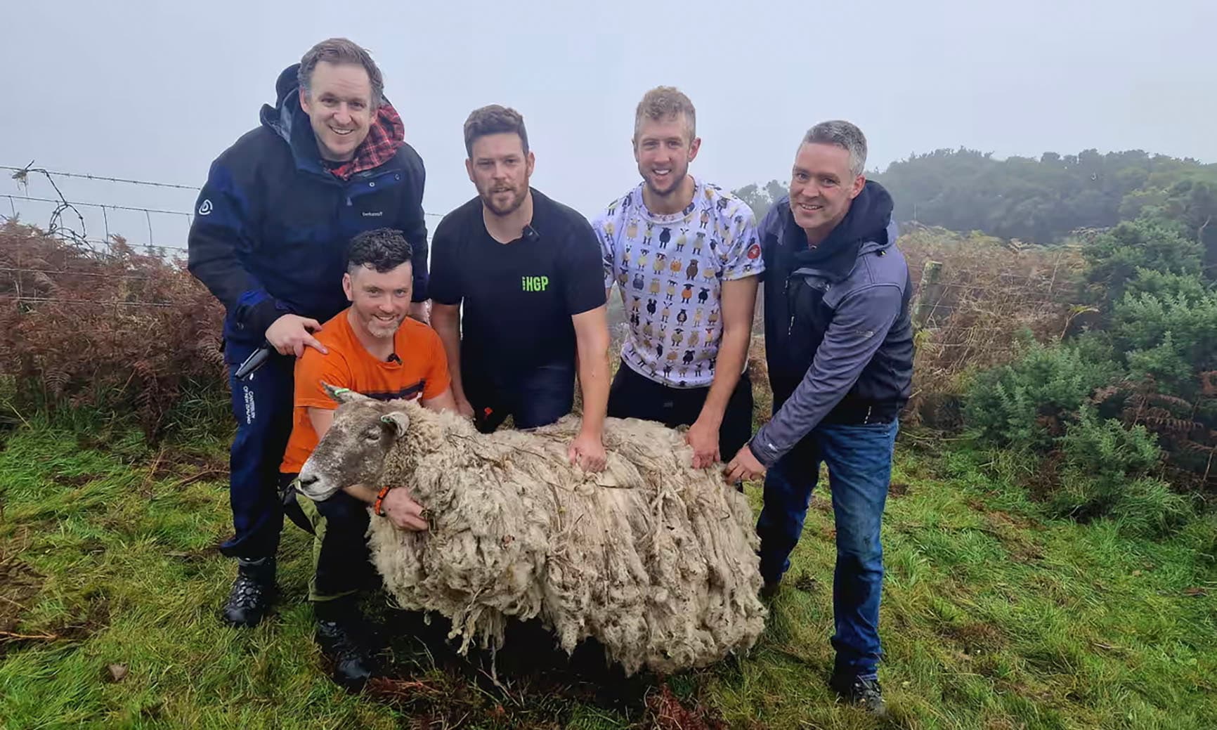 Na twee jaar is schaap Fiona gered vanonder haar klif, al is niet ...