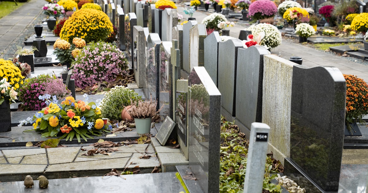 Vlaamse regering maakt het mogelijk om met je huisdier begraven te ...