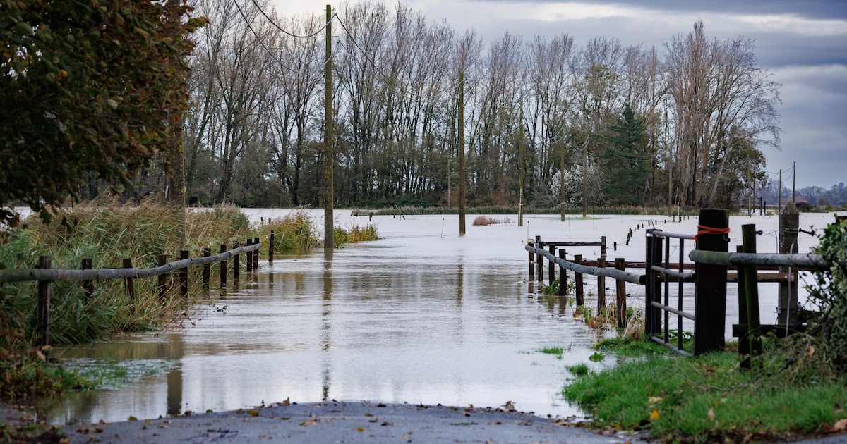Weerbericht. Minder regen, maar temperatuur daalt | De Morgen