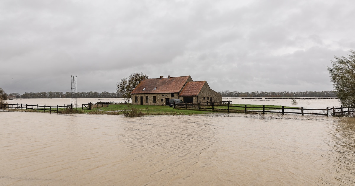 Deze beelden tonen omvang van wateroverlast in de Westhoek | De Morgen