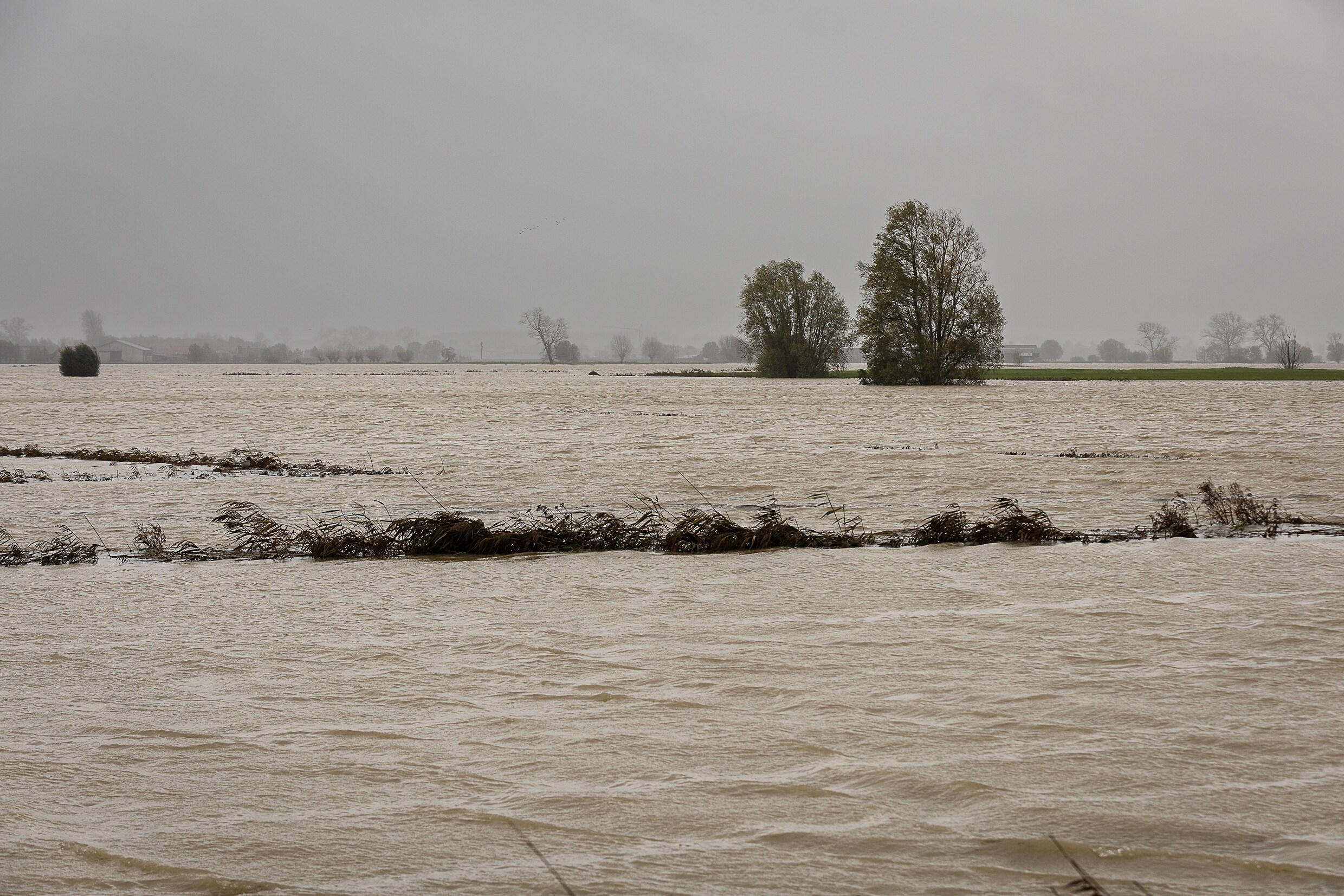 Deze beelden tonen omvang van wateroverlast in de Westhoek | De Morgen