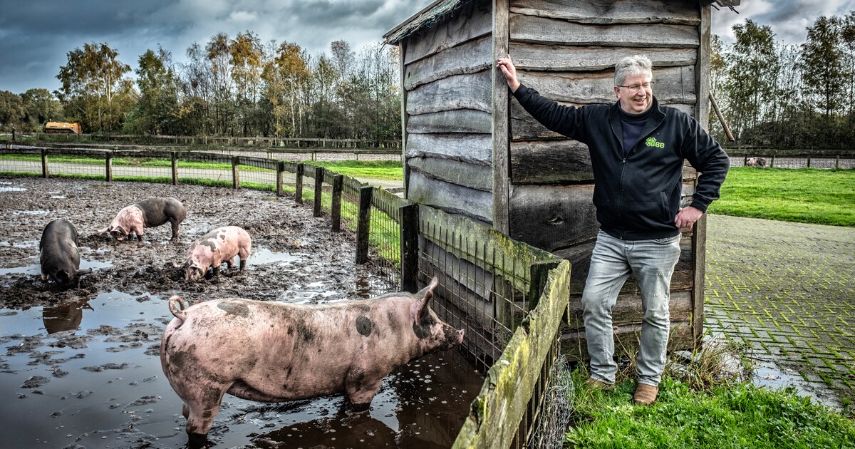 ‘Nederland is vandaag veel meer rechts dan links’: Nederland trekt naar ...