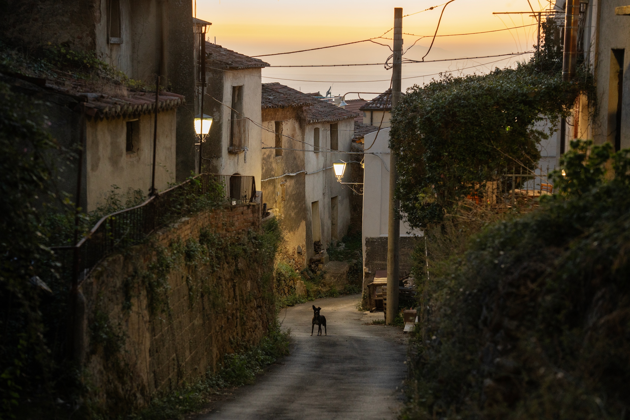 Zijn de uitstervende Zuid-Italiaanse dorpjes nog te redden? ‘We willen ...