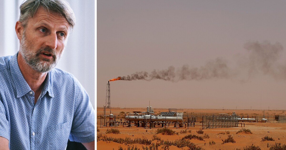 ‘Als onze energie verandert, verandert de wereld’: econoom Koen Schoors ...