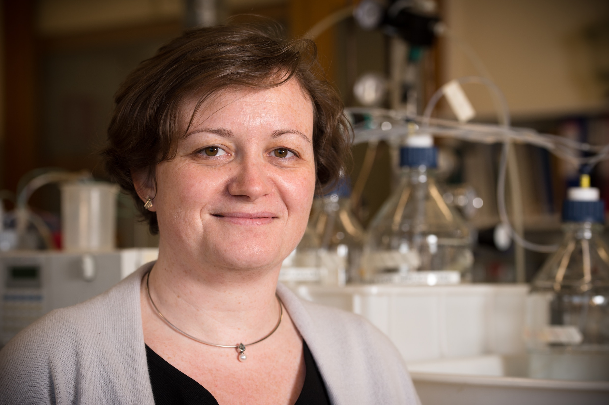 ‘Schimmels kunnen zware metalen en radioactief afval absorberen. Het is echt ongelooflijk wat ...