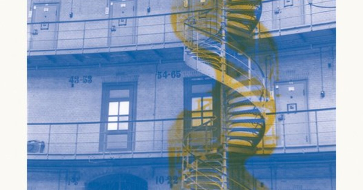 Maria Kager is onverwachte winnaar van Bronzen Uil Debuutprijs | De Morgen