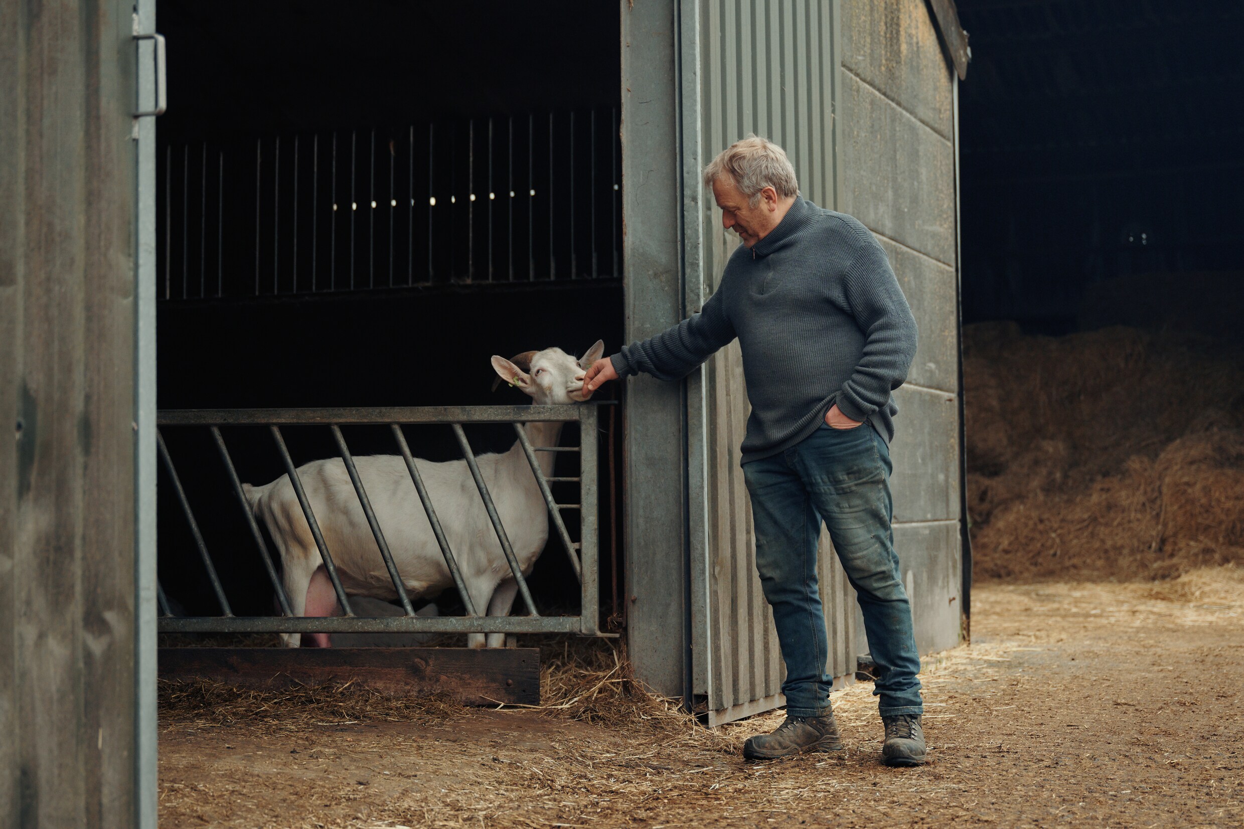 Deze boeren doen niet mee aan het boerenprotest: ‘Ik vrees dat ze zich ...