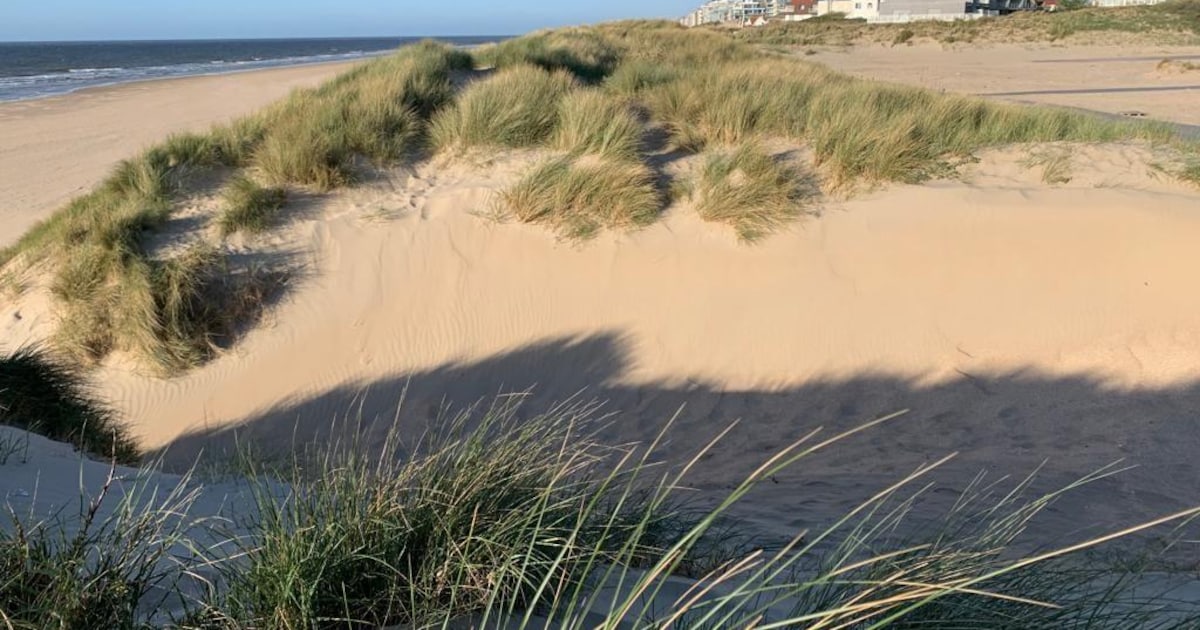 Vlaanderen beschermt Zeeparkduinen in De Panne: ‘Het gaat over een van ...