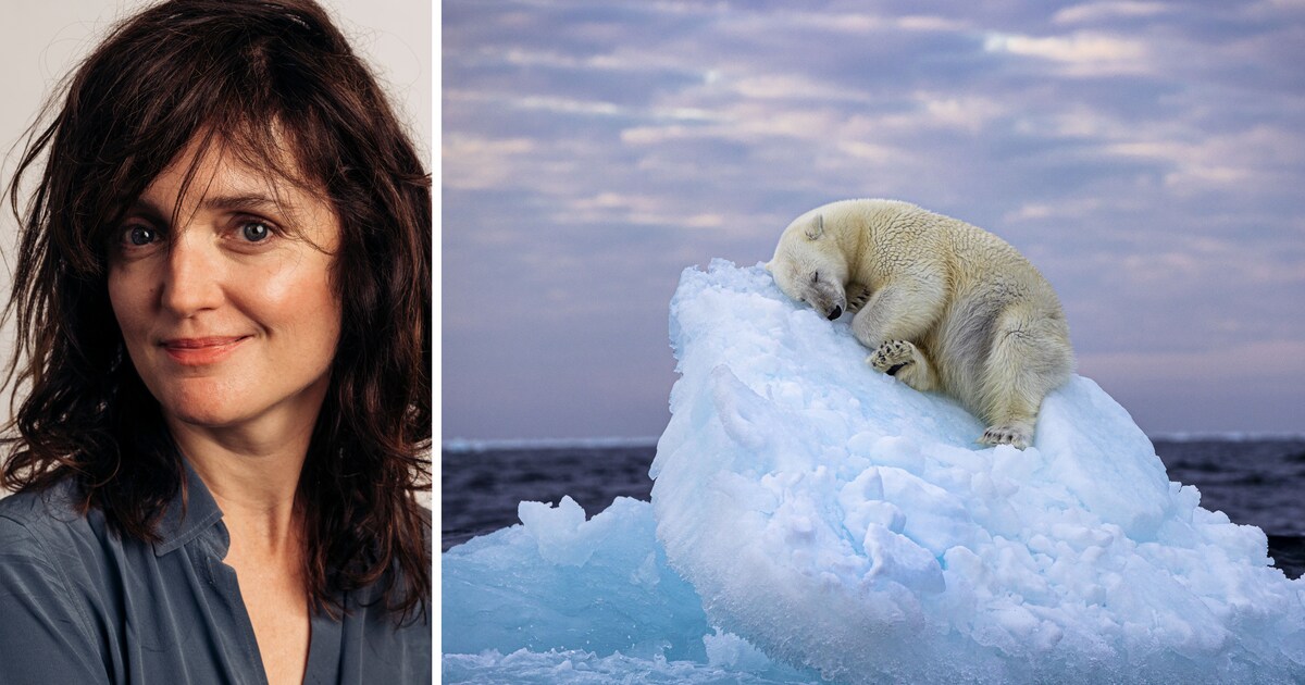 De klimaatcrisis evolueert in de verkeerde richting | De Morgen