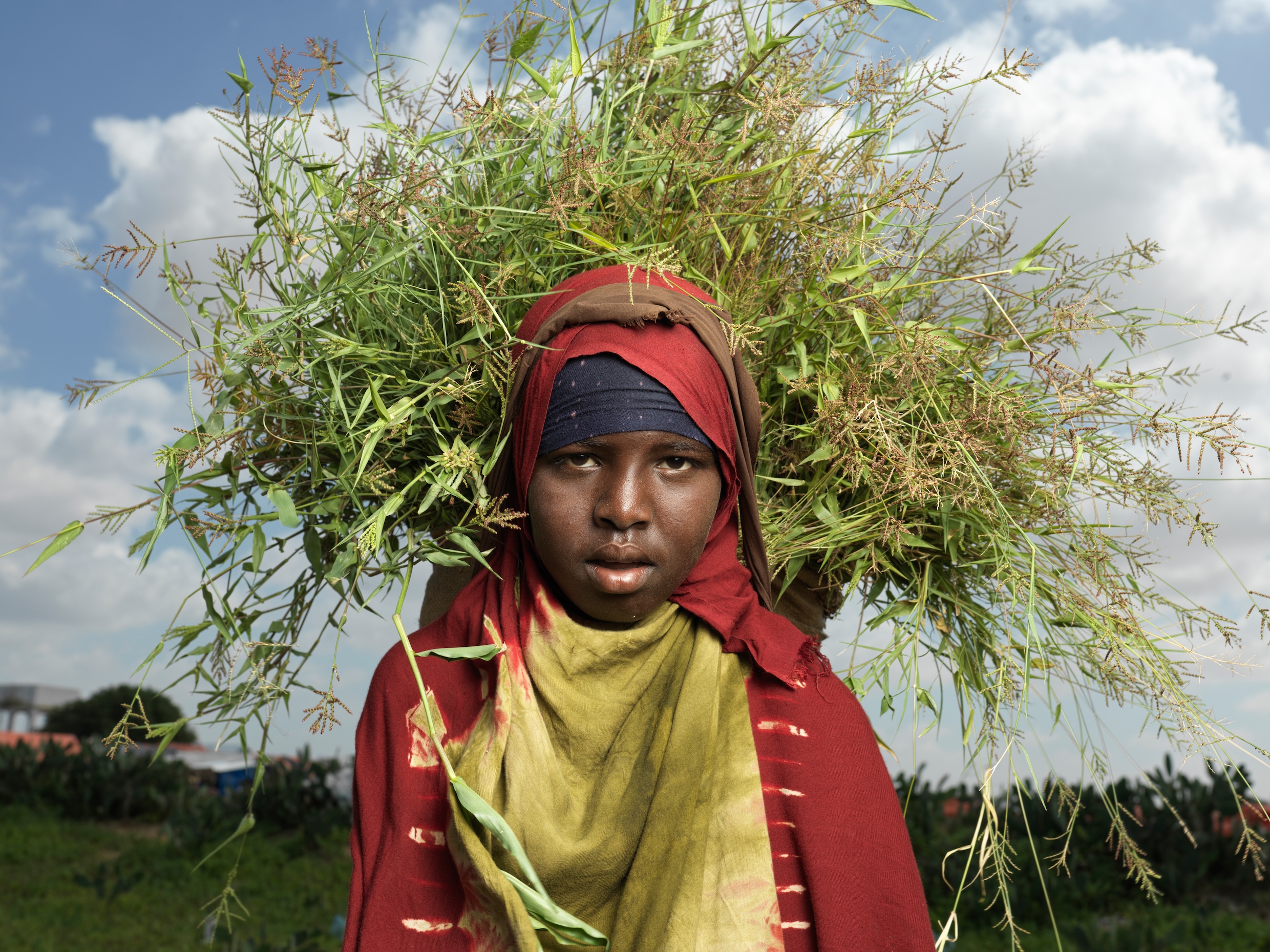 Bang afwachten in de kampen van Somalië, land van extremen | De Morgen