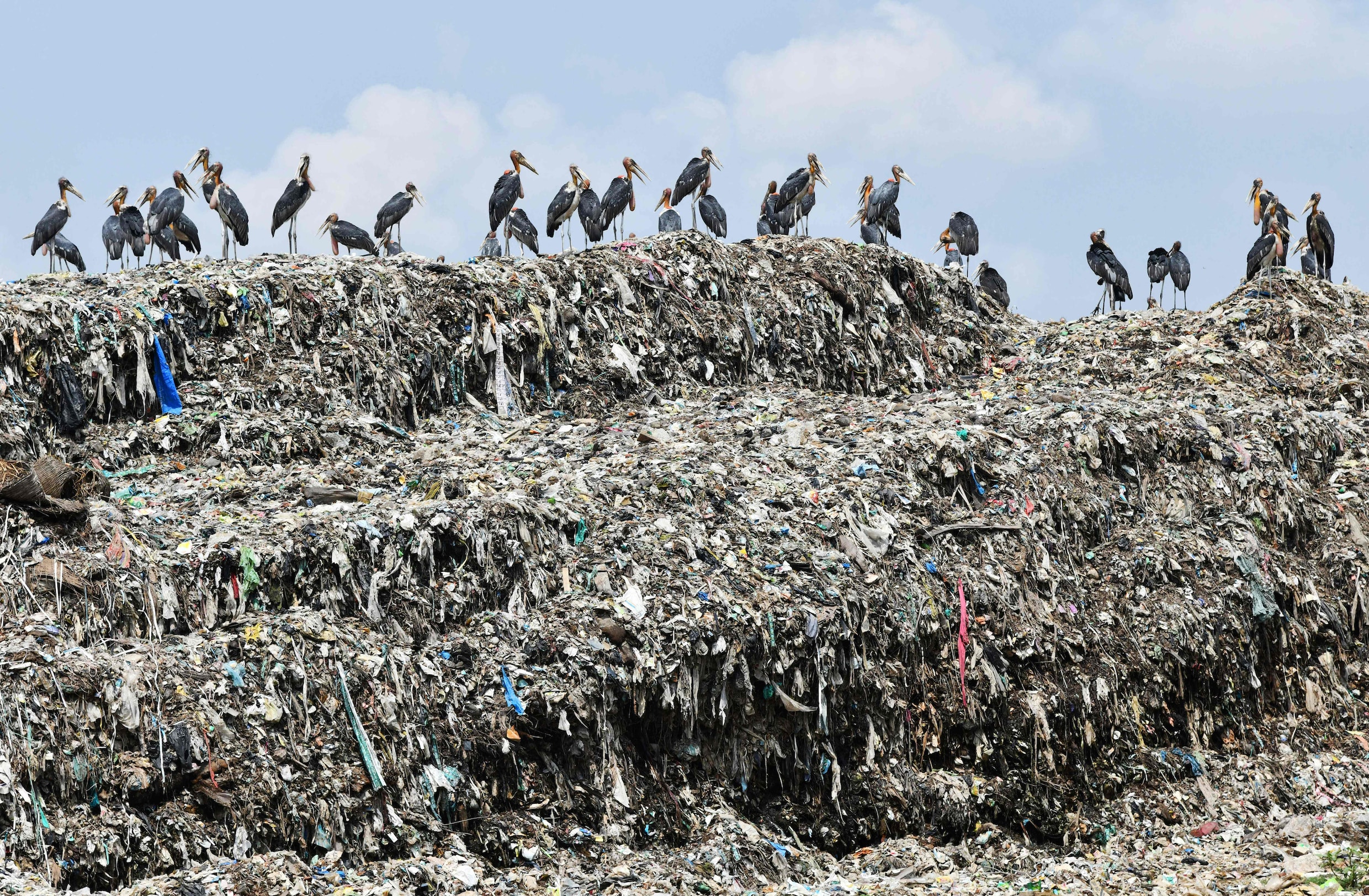 Wereldwijde afvalberg zal 3,8 miljard ton bedragen in 2050 | De Morgen