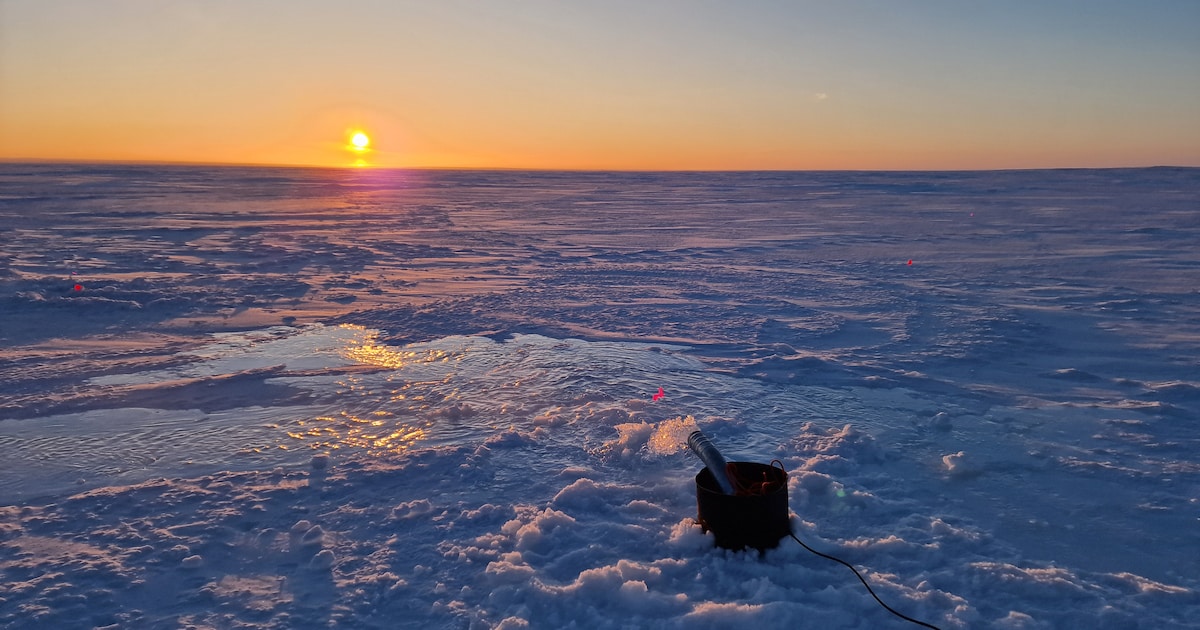 Innovatieve ijsverdikking kan de sleutel zijn tot het behoud van ...