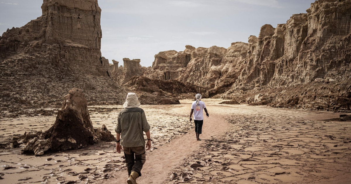De mooiste depressie op aarde | De Morgen