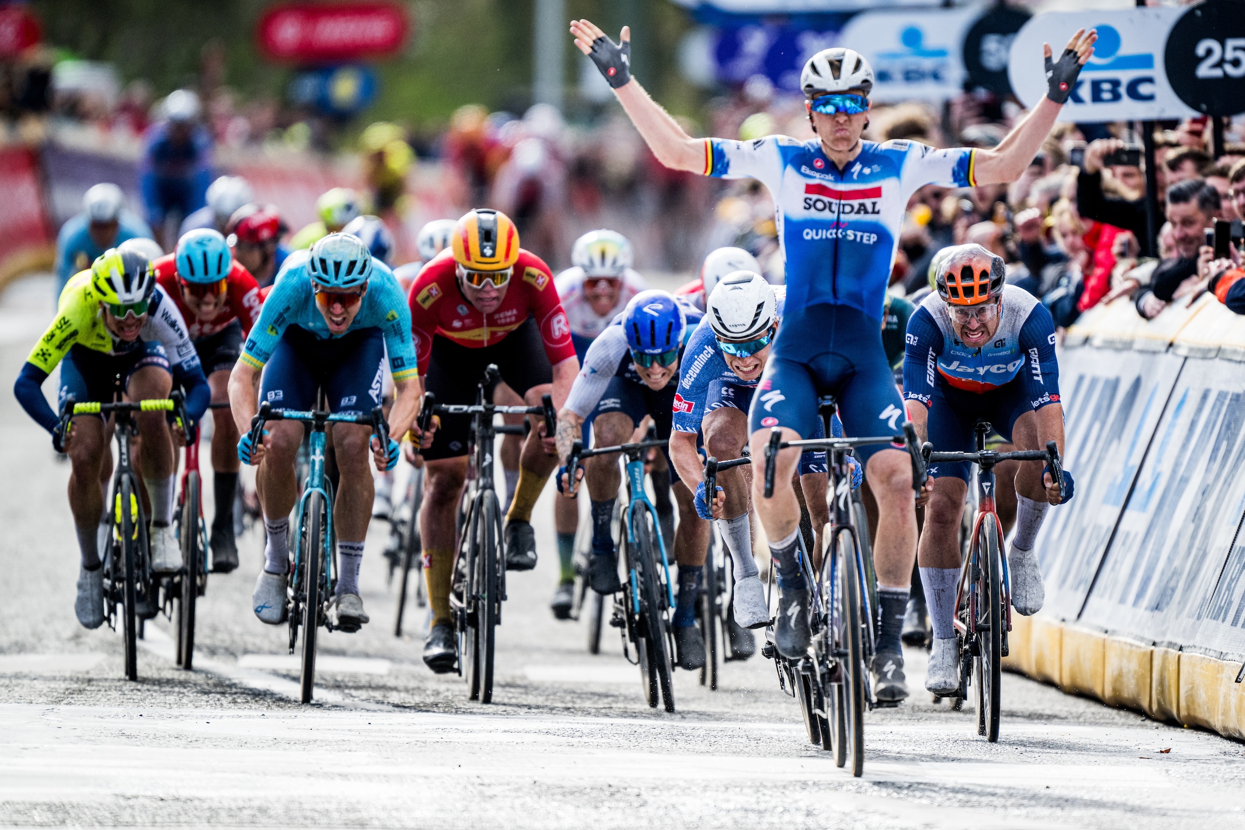 Merlier start als favoriet in de Scheldeprijs: ‘In de slotkilometer is ...
