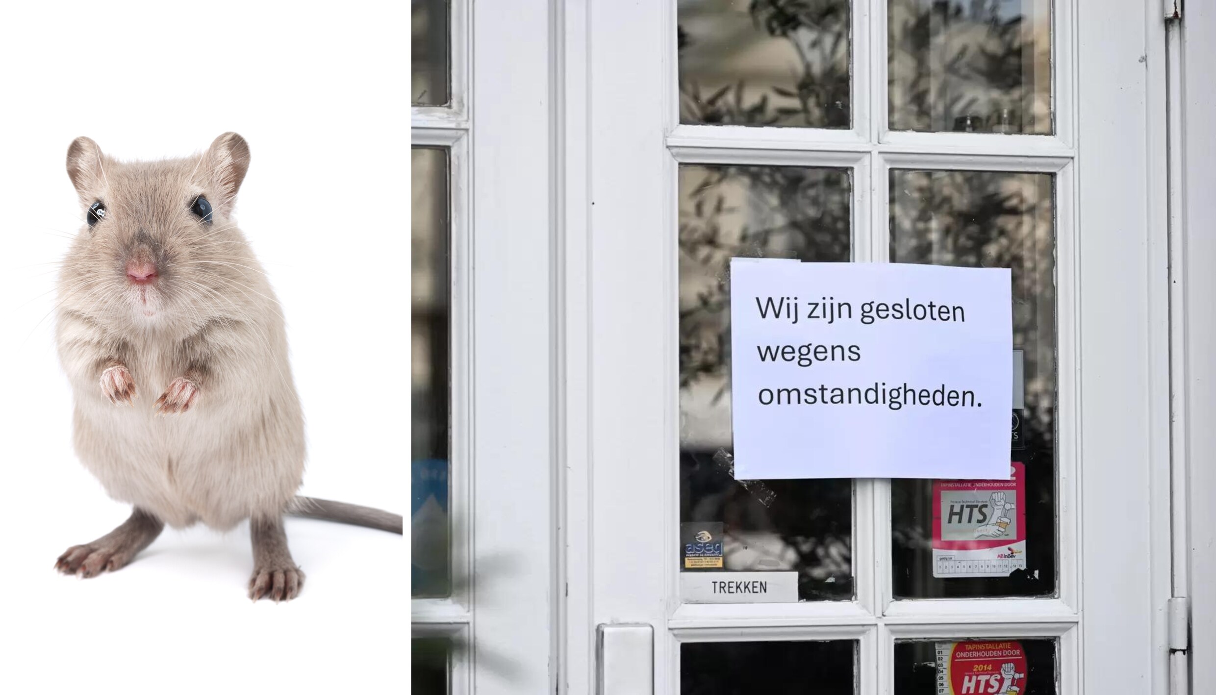 ‘Ik zit er helemaal doorheen, deze zaak is als een kind voor mij ...