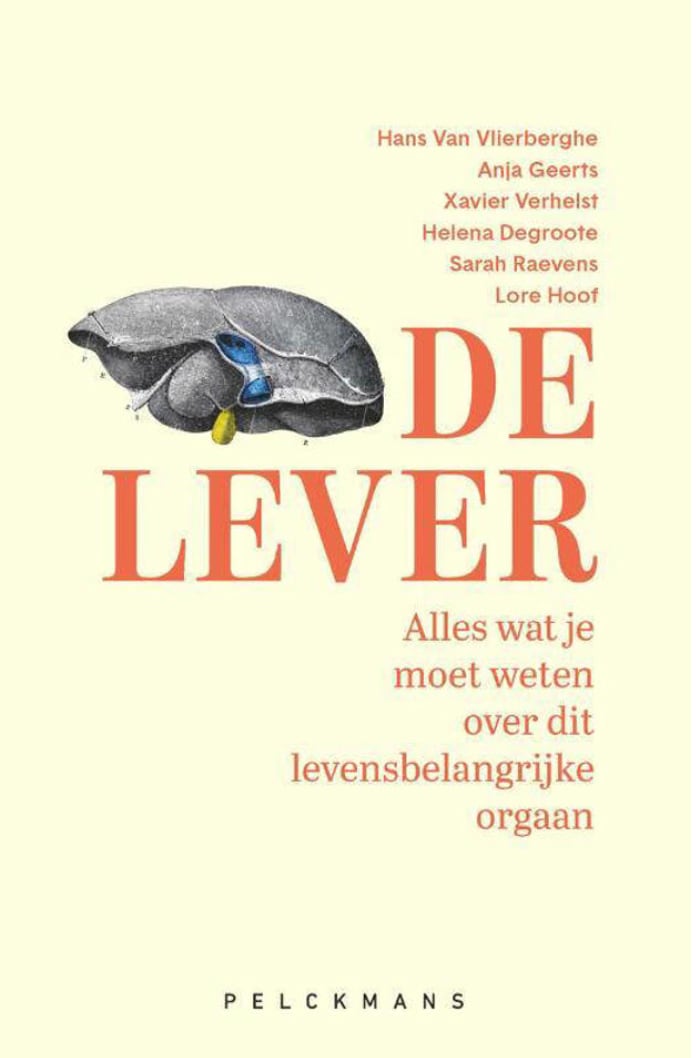 Waarom je maar beter goed zorg draagt voor je lever: ‘Je moet geen ...