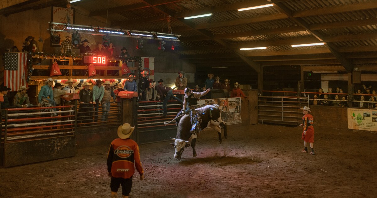Stierenrijden in de Kempen: Bjorn Staps portretteerde cowboys van eigen ...